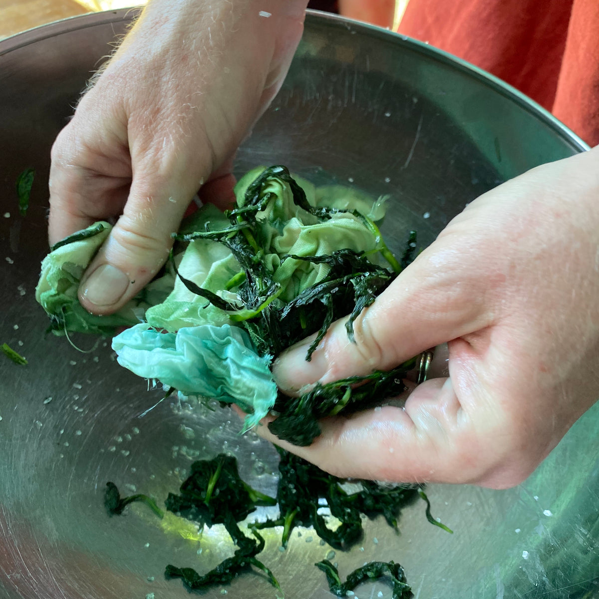 Fresh Leaf Indigo Dyeing – Julie Sinden Handmade & The Love of Colour