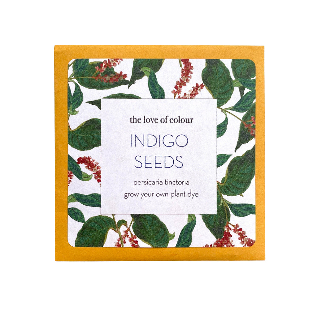 Indigo Seeds - persicaria tinctoria – Julie Sinden Handmade & The Love ...