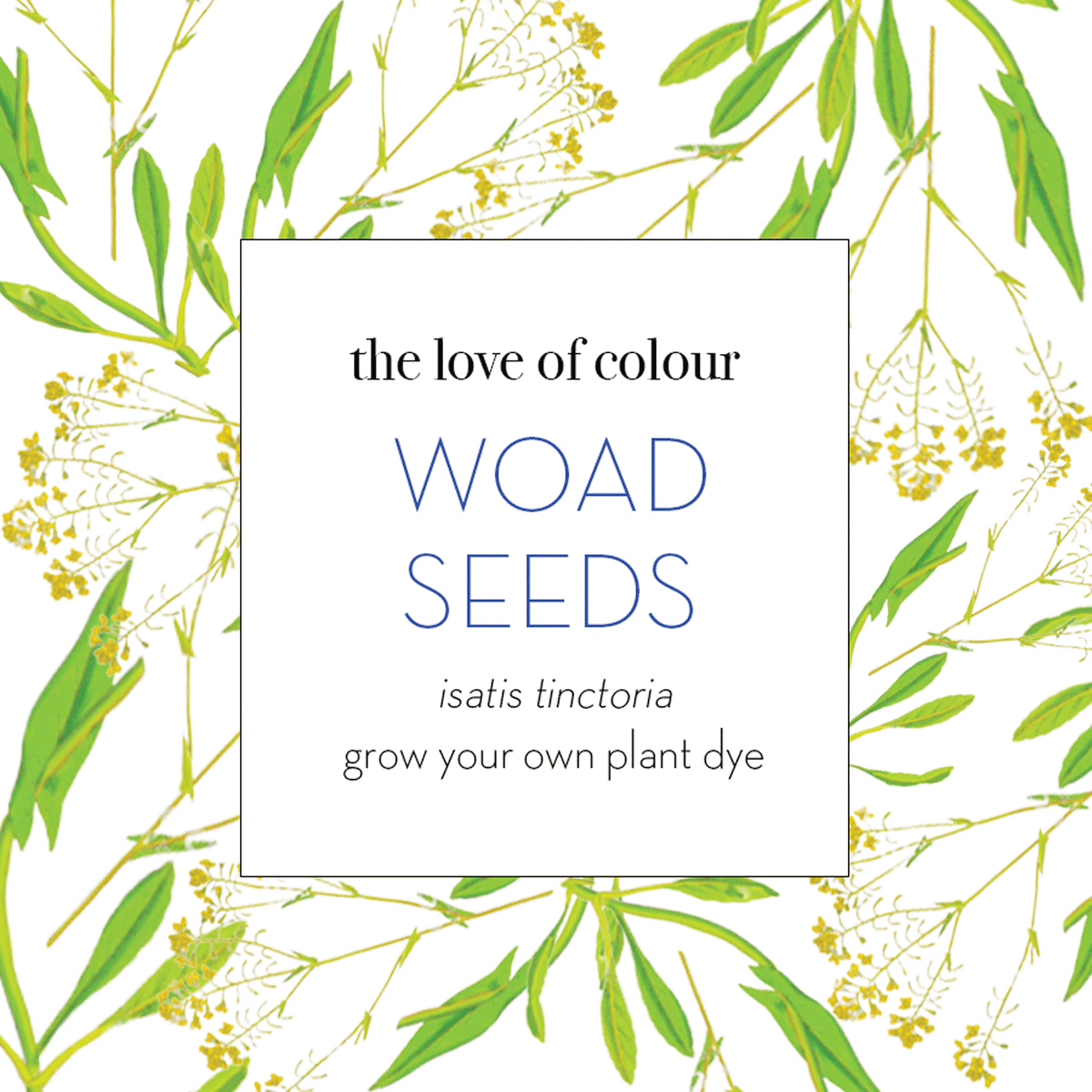 Grow your own dye garden - bundle of nine seed packets – Julie Sinden ...